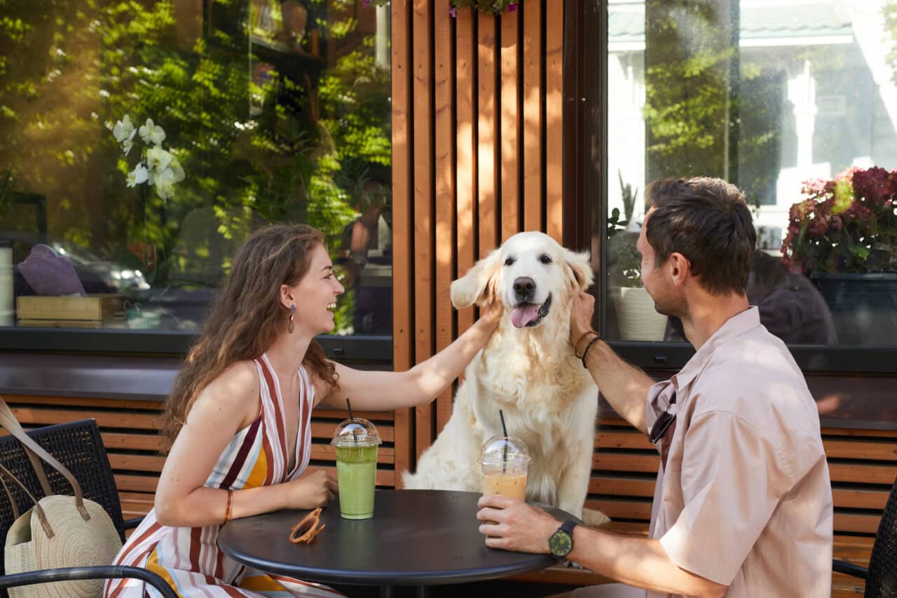 Best Dog Friendly NYC Suburbs