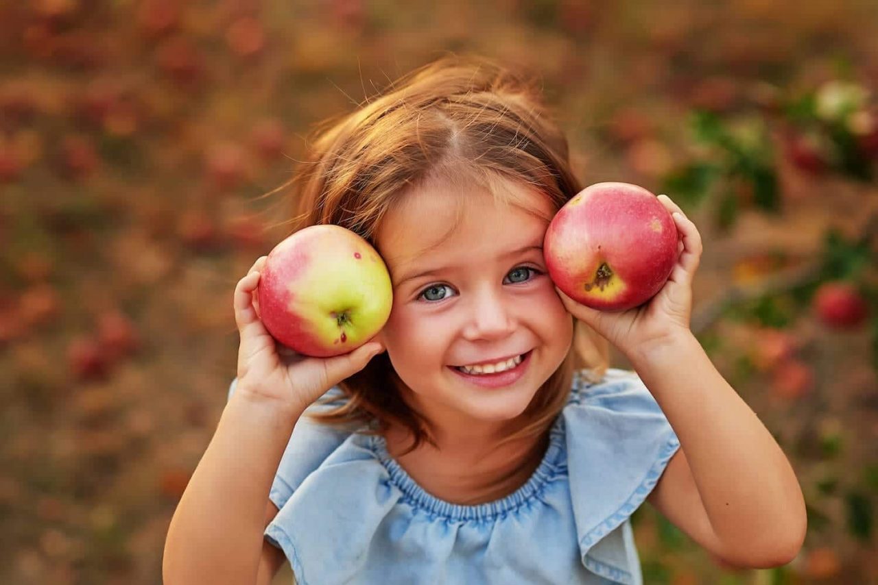 Plan Your Perfect Weekend in the DC Suburbs | Suburban Jungle Group