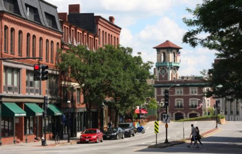 Town Spotlight: Brookline, MA | The Suburban Jungle Group