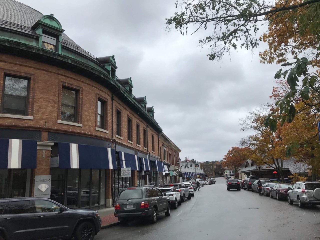 TOWN SPOTLIGHT Newton Massachusetts Suburban Jungle Group