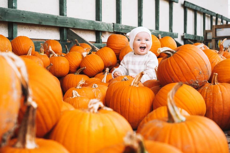 The Best Fall Festivals in the Bay Area Suburbs | Weekend Events