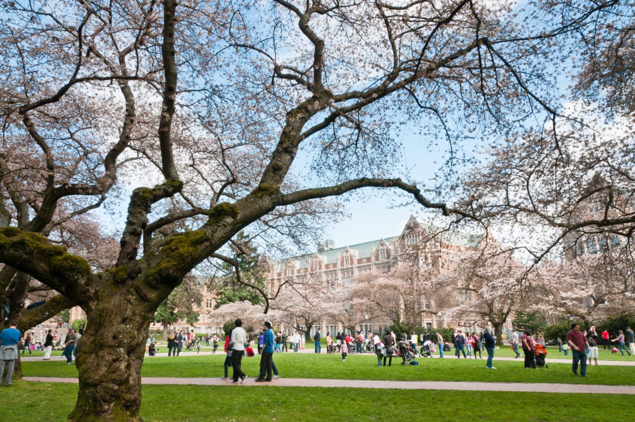 College Towns in New Jersey: Where Campus Culture Meets Suburban Vibe